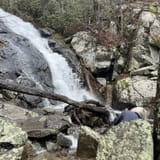 Fallingwater Cascades Trail, Virginia - 775 Reviews, Map | AllTrails