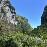 Ballroom Overhang Track, West Coast, New Zealand - 34 Reviews, Map ...