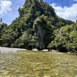 Ballroom Overhang Track, West Coast, New Zealand - 34 Reviews, Map ...