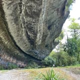 Ballroom Overhang Track, West Coast, New Zealand - 34 Reviews, Map ...