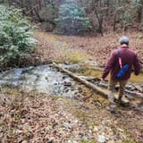 Chestnut Ridge Heritage Preserve Trail, South Carolina - 1,480 Reviews ...