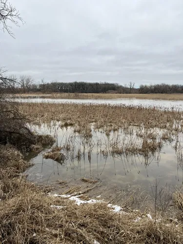 Best Hikes and Trails in Prairie Springs Park | AllTrails