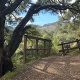 Seven Springs Loop, California - 3,618 Reviews, Map | AllTrails