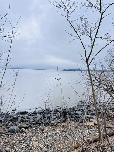 Best Hikes and Trails in Occoquan Bay National Wildlife Refuge | AllTrails