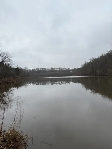Best Hikes and Trails in Lake Mercer Park | AllTrails
