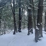 Sprague Brook Park Trail, New York - 1,285 Reviews, Map | AllTrails