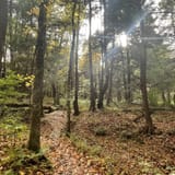 Sprague Brook Park Trail, New York - 1,260 Reviews, Map | AllTrails