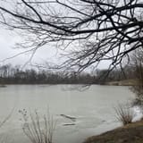 Bee Tree Lake Loop, Missouri - 546 Reviews, Map | AllTrails