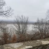 Bee Tree Lake Loop, Missouri - 546 Reviews, Map | AllTrails