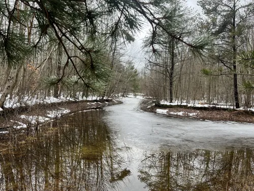 Best Hikes and Trails in Port Sheldon Natural Area | AllTrails