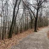 Bee Tree Lake Loop, Missouri - 546 Reviews, Map | AllTrails