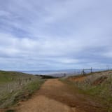 Point Sal Overlook, California - 655 Reviews, Map | AllTrails