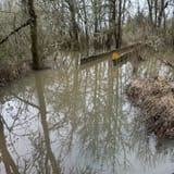 Minto-Brown Island Park, Oregon - 914 Reviews, Map | AllTrails