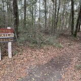 Britton Hill - Florida Highpoint, Florida - 199 Reviews, Map | AllTrails