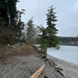 Hoypus Point Loop, Washington - 651 Reviews, Map | AllTrails