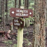 Hoypus Point Loop, Washington - 752 Reviews, Map | AllTrails