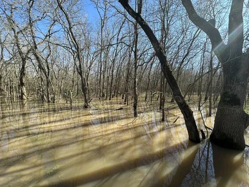 Best Hikes and Trails in George Bush Park | AllTrails