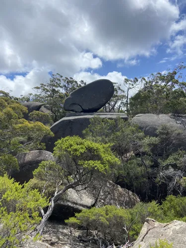 Best Hikes and Trails in Cameron Regional Reserve | AllTrails