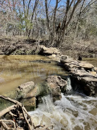 Best Hikes and Trails in Lockhart State Park | AllTrails
