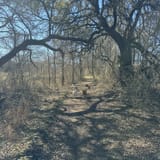 San Gabriel River Trail and Goodwater Loop, Texas - 917 Reviews, Map ...