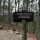 Carvins Cove Reservoir Trail, Virginia - 395 Reviews, Map | AllTrails