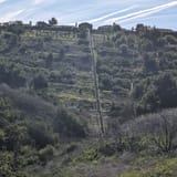 Calabasas Hidden Stairs, California - 684 Reviews, Map | AllTrails