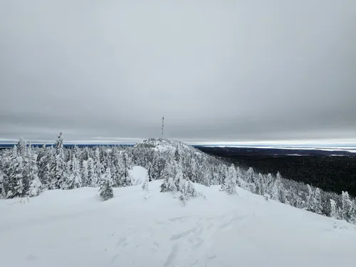 Best Wild Flowers Trails in Matagami | AllTrails