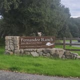 Black Phoebe Trail, California - 40 Reviews, Map | AllTrails