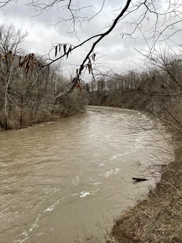 Best Mountain Biking Trails in Kickapoo State Park | AllTrails