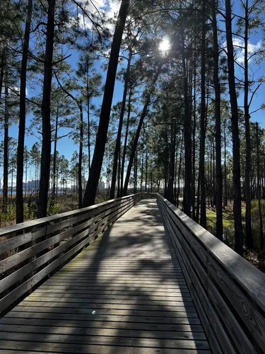Best Bike Touring Trails in Gulf State Park | AllTrails