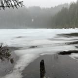 Boardman Lake Trail, Washington - 220 Reviews, Map | AllTrails