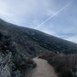 Stoddard Peak, California - 1,989 Reviews, Map | AllTrails