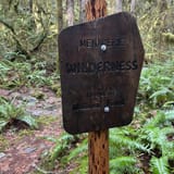 Rooster Rock Trail via East Trailhead, Oregon - 199 Reviews, Map ...