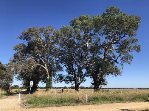 Best Hikes and Trails in Milawa | AllTrails