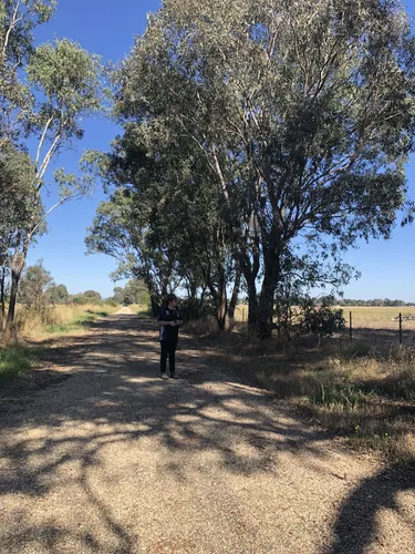 Best Hikes and Trails in Milawa | AllTrails