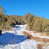 Tanner Trail, Colorado - 109 Reviews, Map | AllTrails