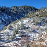 Tanner Trail, Colorado - 109 Reviews, Map | AllTrails
