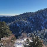 Tanner Trail, Colorado - 115 Reviews, Map | AllTrails