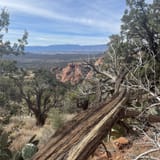 Bear Mountain Trail, Arizona - 5,391 Reviews, Map | AllTrails