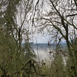 Big Tree Ridge Trail: Short Version, Washington - 295 Reviews, Map ...