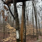 Buggytop Trail to Lost Cove Cave, Tennessee - 773 Reviews, Map | AllTrails