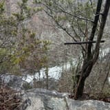 Buggytop Trail to Lost Cove Cave, Tennessee - 773 Reviews, Map | AllTrails