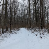 Waterloo-Pinckney Trail, Michigan - 497 Reviews, Map | AllTrails