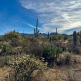 Signal Hill Trail, Arizona - 1,191 Reviews, Map | AllTrails