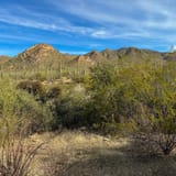 Signal Hill Trail, Arizona - 1,191 Reviews, Map | AllTrails