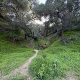 Beaudry Loop, California - 4,850 Reviews, Map | AllTrails