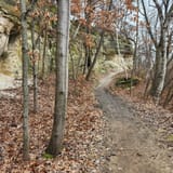 Point Douglas Trail, Minnesota - 257 Reviews, Map | AllTrails