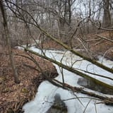 Point Douglas Trail, Minnesota - 257 Reviews, Map | AllTrails