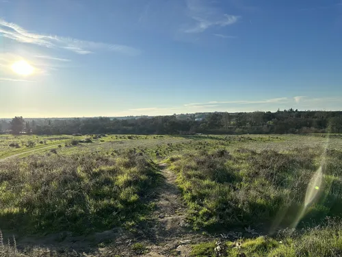 Best Walking Trails in Clovis | AllTrails