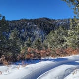 Tanner Trail, Colorado - 115 Reviews, Map | AllTrails